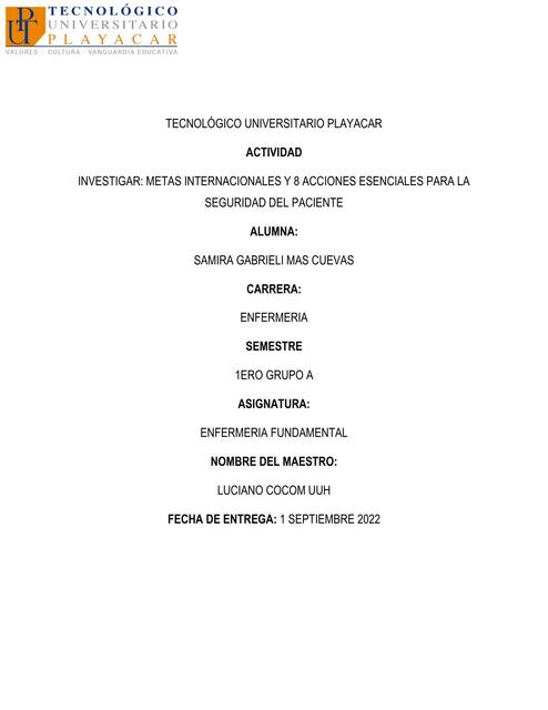 Metas Internacionales y 8 Acciones Esenciales para la Seguridad del ...