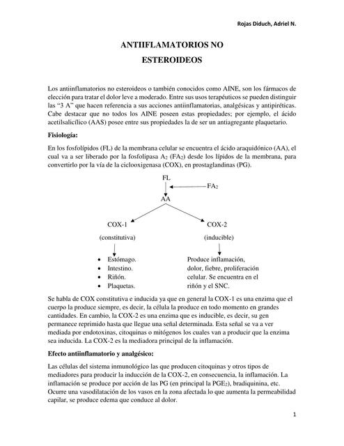 Antiinflamatorios no Esteroideos | Adriel | uDocz