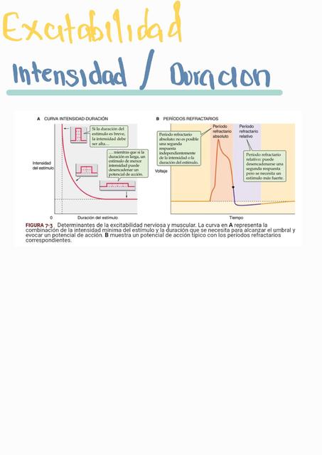 Intensidad duración | Carlos Urcid | uDocz