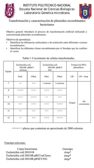 Resultados | Alondra Ortiz | uDocz