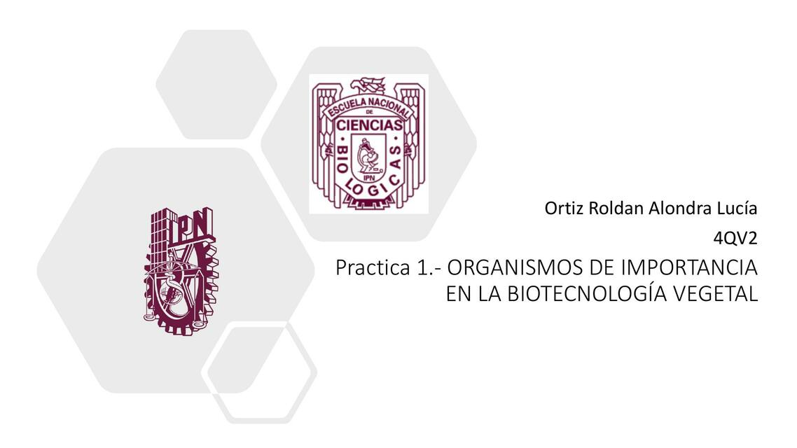 Organismos de Importancia en la Biotecnología Vegetal | Alondra Ortiz | uDocz