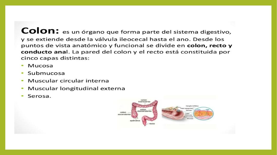Patologías de colon y recto | brinideys zarate | uDocz