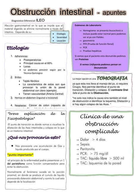 Obstruccion intestinal - apuntes | Todo sobre Medicina | uDocz