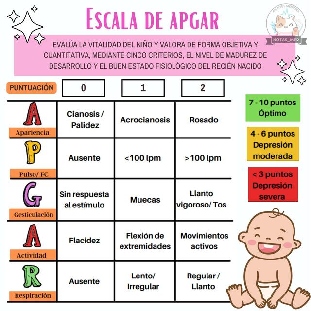 Escala De APGAR Notas Med UDocz
