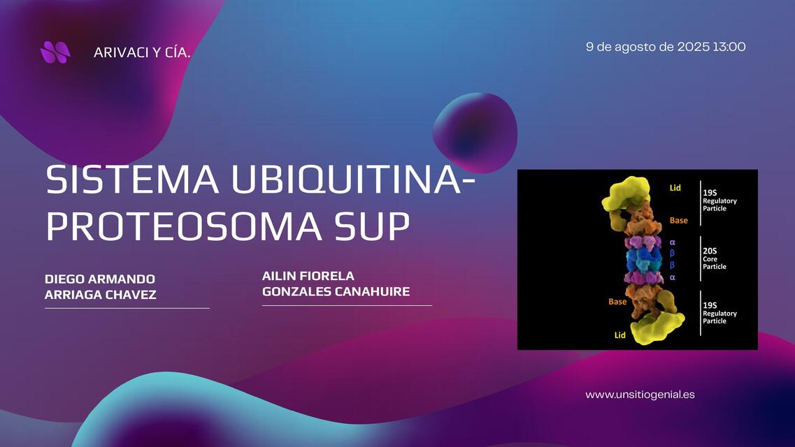 Sistema ubiquitina proteosoma | uDocz