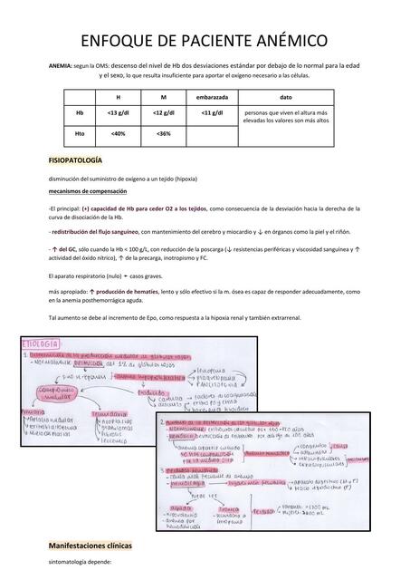 Enfoque de paciente con anemia | Gabriela Saire | uDocz