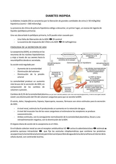Diabetes insípida | Samanta Millet | uDocz