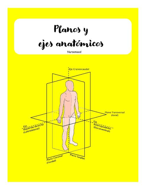 Planos y ejes anatomicos | Nursemeed | uDocz