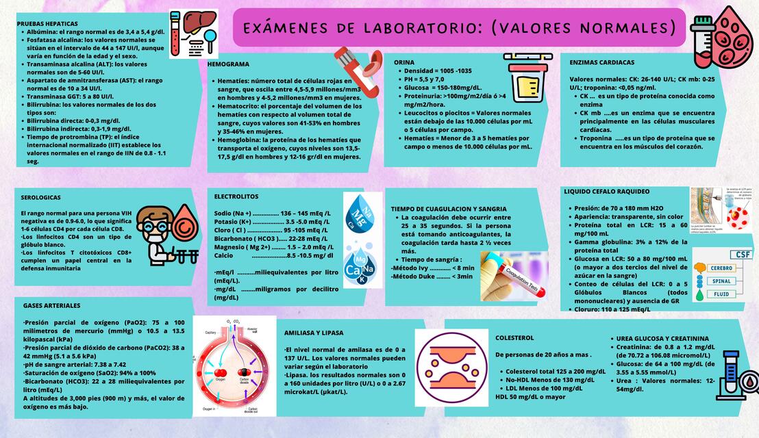 Exámenes de Laboratorio: Valores Normales | DINA SAENZ | uDocz