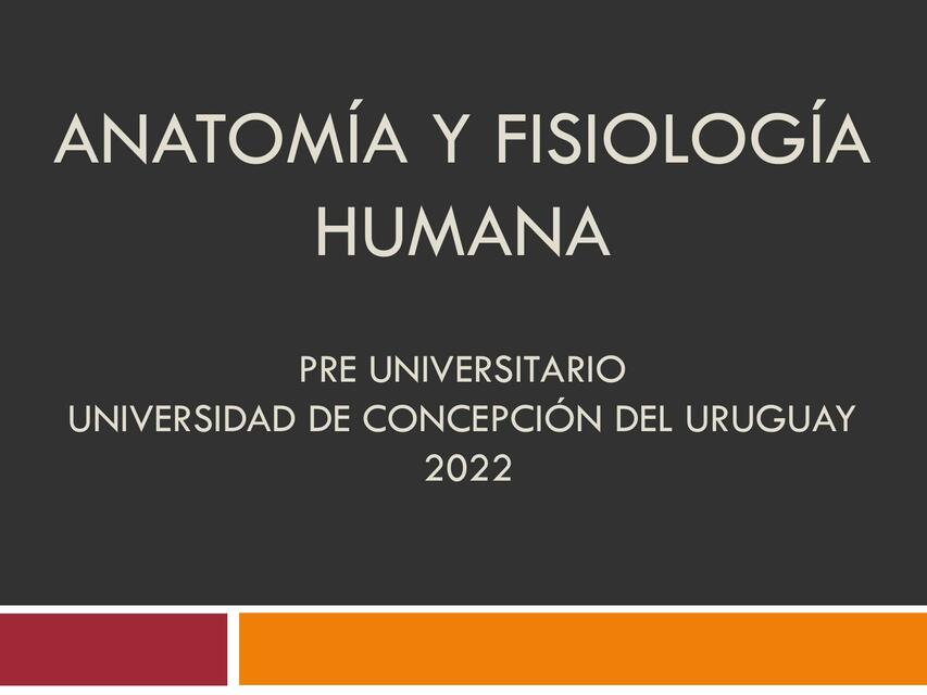 Anatomía y Fisiología Humana | Nere Schneider Kunzke | uDocz