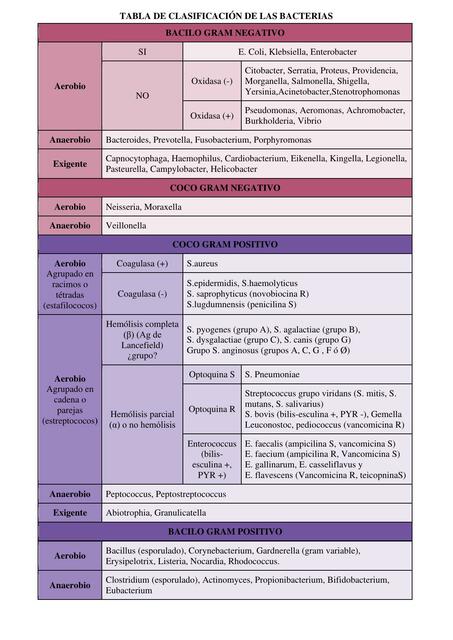 Tabla de Clasificación de las Bacterias | Ana Fernanda Zhindon Macas | uDocz