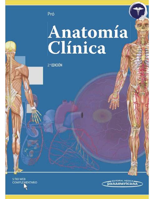 Anatomía Clínica | GMVALE | uDocz