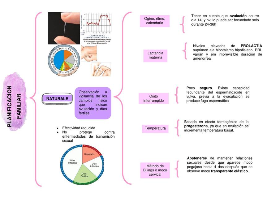 Metodos anticonceptivos: mecanismo de accion | Somi | uDocz
