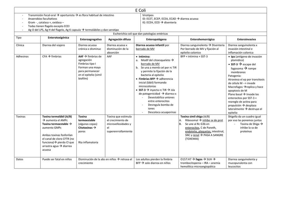 E Coli | Florencia Paola Martinez | uDocz