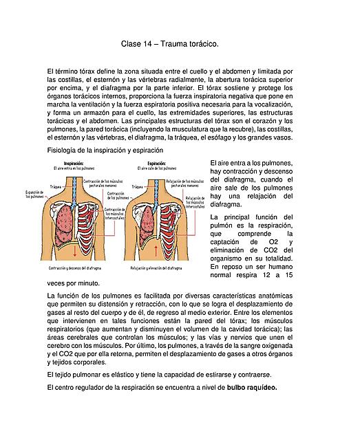 Trauma Torax | uDocz