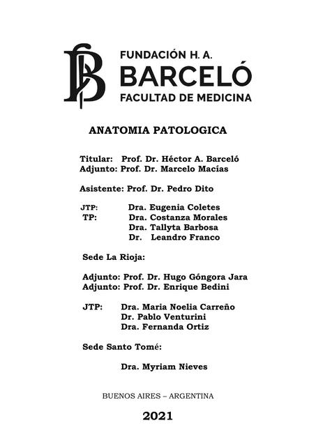 Resúmenes de Patología linfática | Descarga apuntes de Patología linfática