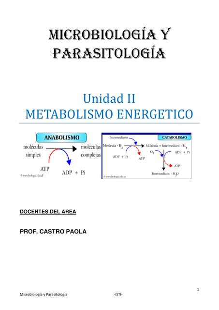 Metabolismo Energético | Enfermería | uDocz