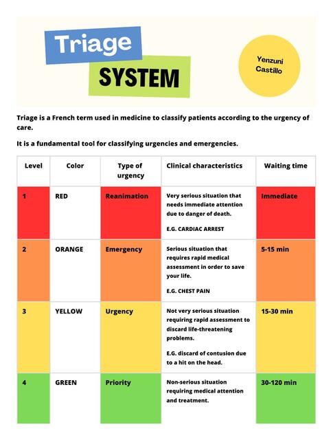 Triage System | Yenzuni Abigail Castillo Garcia | uDocz