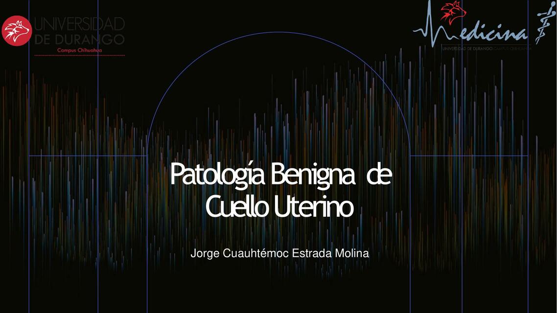 Patología Benigna de Cuello Uterino | Jorge Cuauhtémoc Estrada Molina ...