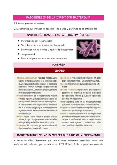 Capítulo 9 Patogenesis de la infección bacteriana | Jose Riofrio | uDocz