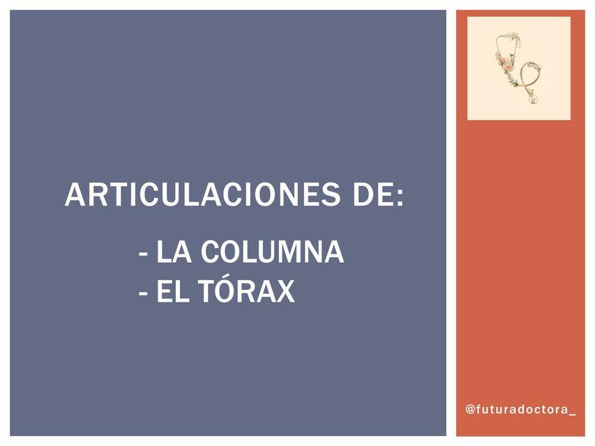 Articulaciones De La Columna y El Tórax | Futur@_Doc | uDocz