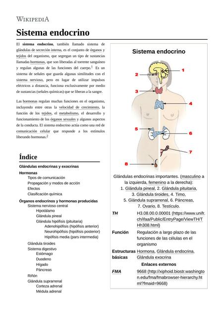 Sistema endocrino | Yaritza Bazan | uDocz