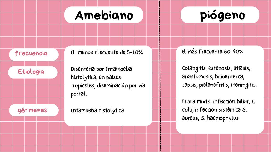 Amebiano y Piógeno | Nathalia | uDocz