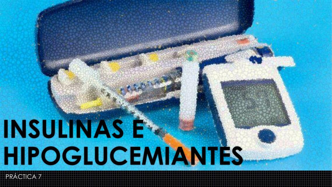 INSULINAS E HIPOGLUCEMIANTES | Dogtor Beagle | uDocz