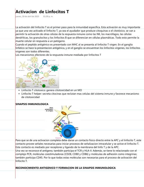 Activación de Linfocitos T | ERIKA DANIELA MUÑOZ MARTINEZ | uDocz
