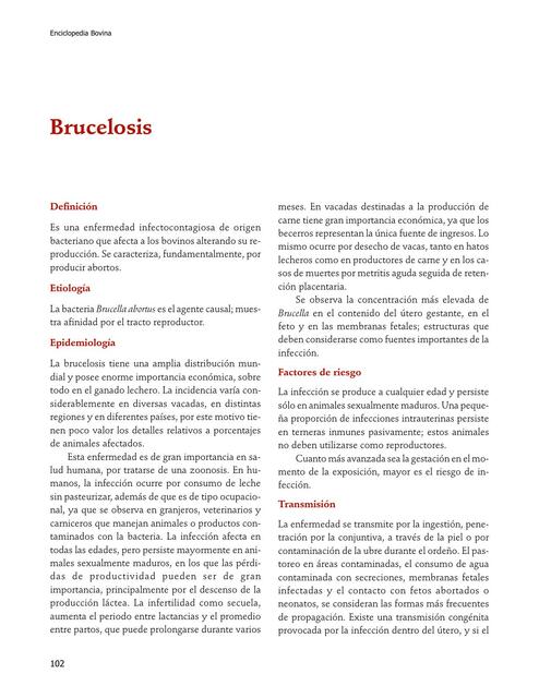 Brucelosis | MONTSERRAT OLVERA M | uDocz