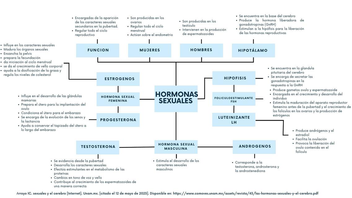 Hormonas sexuales | Jose Stamatio | uDocz