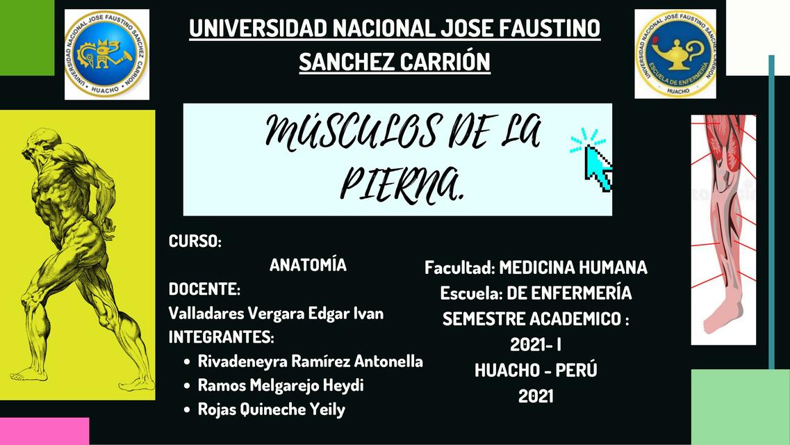 Musculos De La Pierna Heydi Mayli Rm Udocz