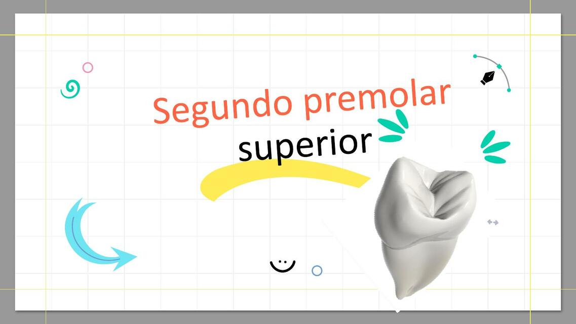 Segundo premolar superior | Paola Cristina Karageorge Chávez | uDocz