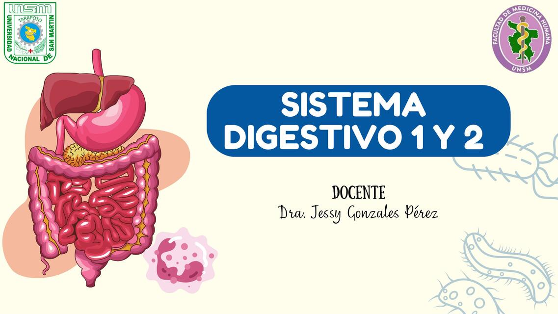 Sistema digestivo 1 y 2 | Shara Torres | uDocz