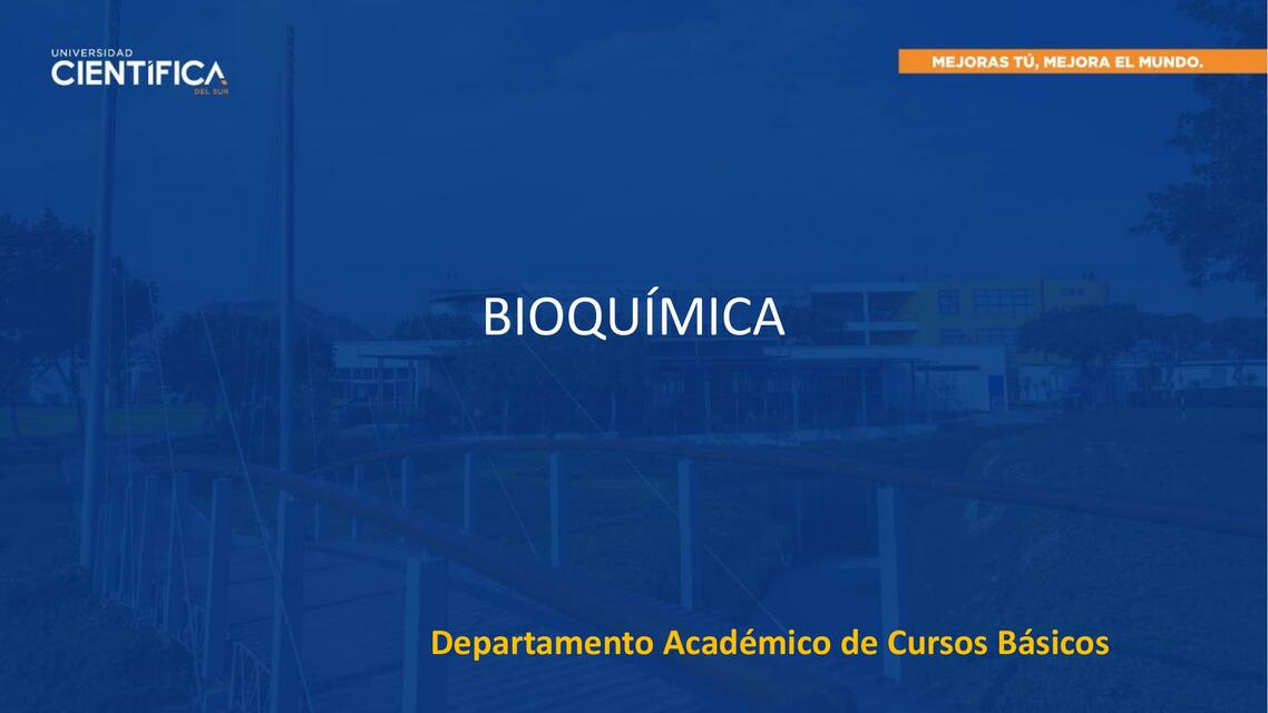 Bioquímica Michi Udocz