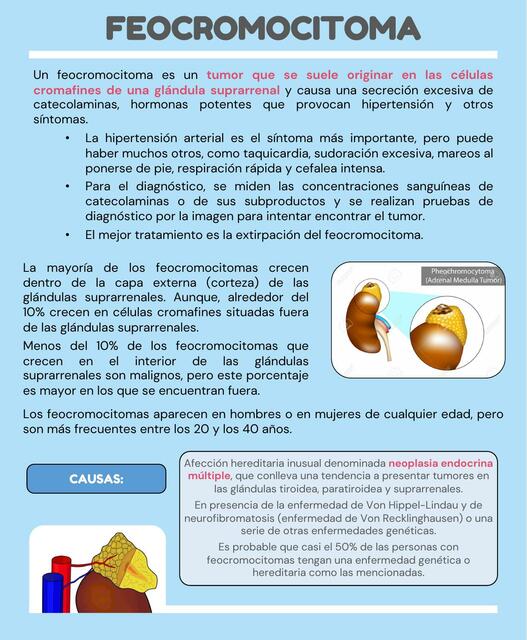 Flashcards de Definición de Feocromocitoma | Por Javier Rios | uDocz