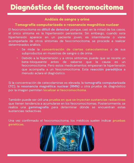 Diagnóstico del feocromocitoma | Javier Rios | uDocz
