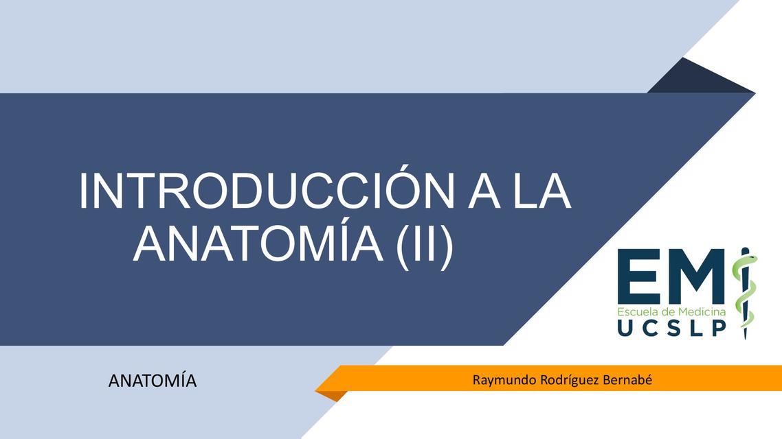 Introducción a la anatomia II | Dr. Bernabé | uDocz
