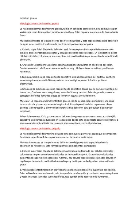 Intestino grueso | Alexander Valencia | uDocz