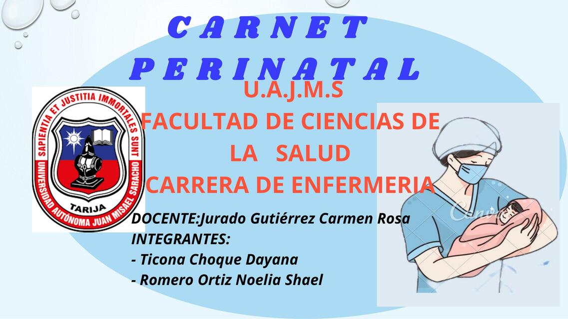 Carnet Perinatal | Dayana Maribel | uDocz