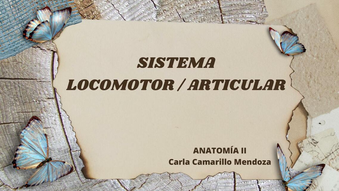 Sistema Locomotor/ Articular | Carla Coronado | uDocz