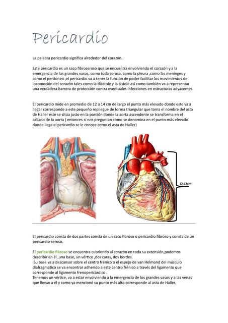 Pericardio | maria downes | uDocz