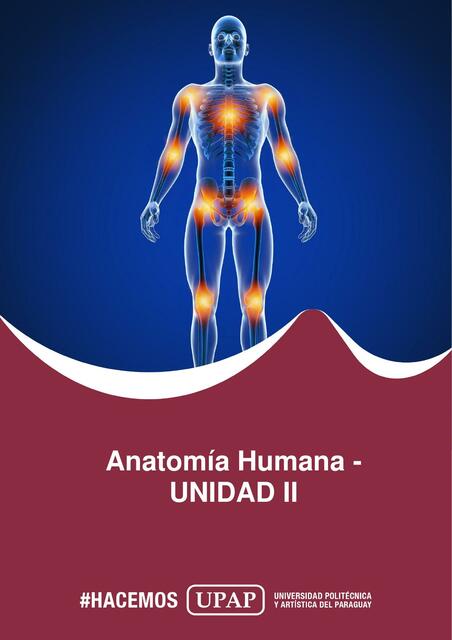 Anatomía Humana | Eliane Capote | uDocz