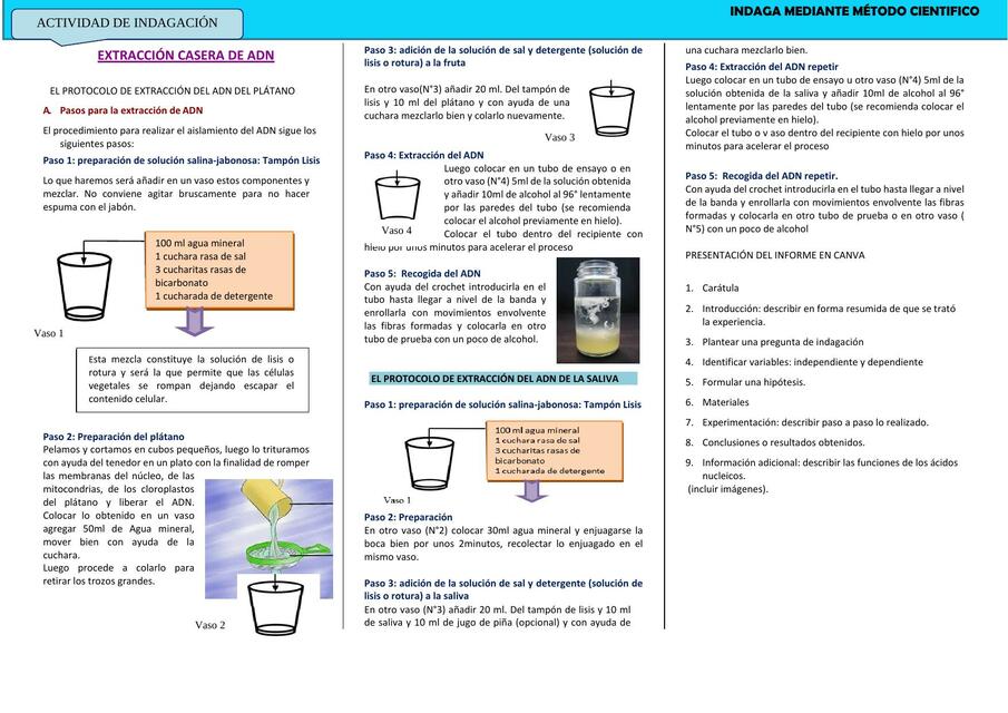 Extracción Casera de ADN | LILIANA LARICO DURAN | uDocz