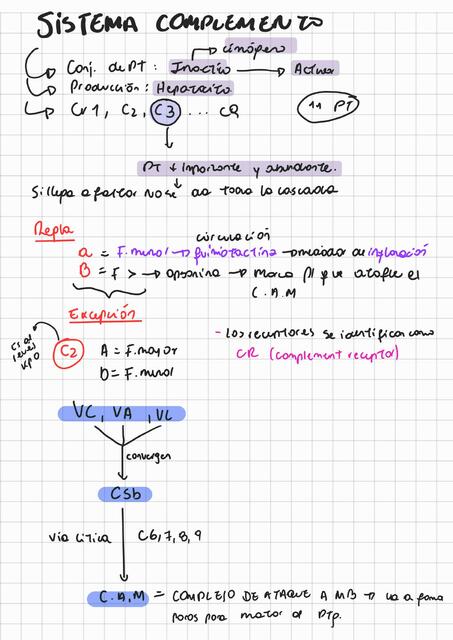 Sistema de complemento | Brenda Cajal | uDocz