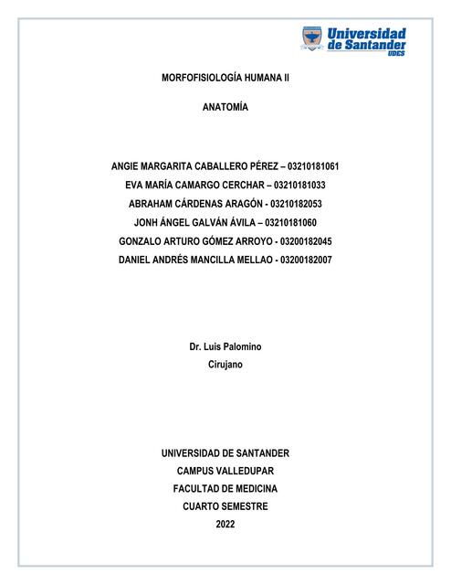 Anatomía externa e interna | Eva Camargo | uDocz