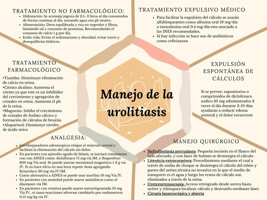 Manejo de la Urolitiasis | Solcito | uDocz
