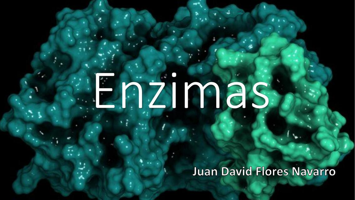 Enzimas 1 | Jimena | uDocz