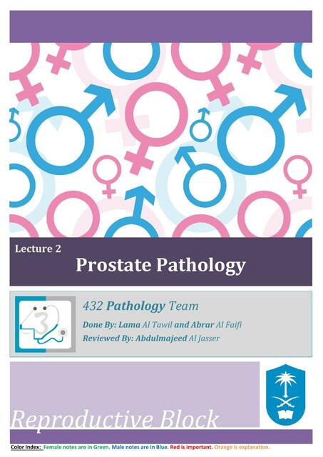 Prostate Pathology | Medic | uDocz