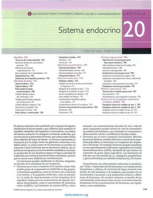 Flashcards de ENDOCRINO | Por FAUSTO EULER ACOSTA VIGILIO | uDocz